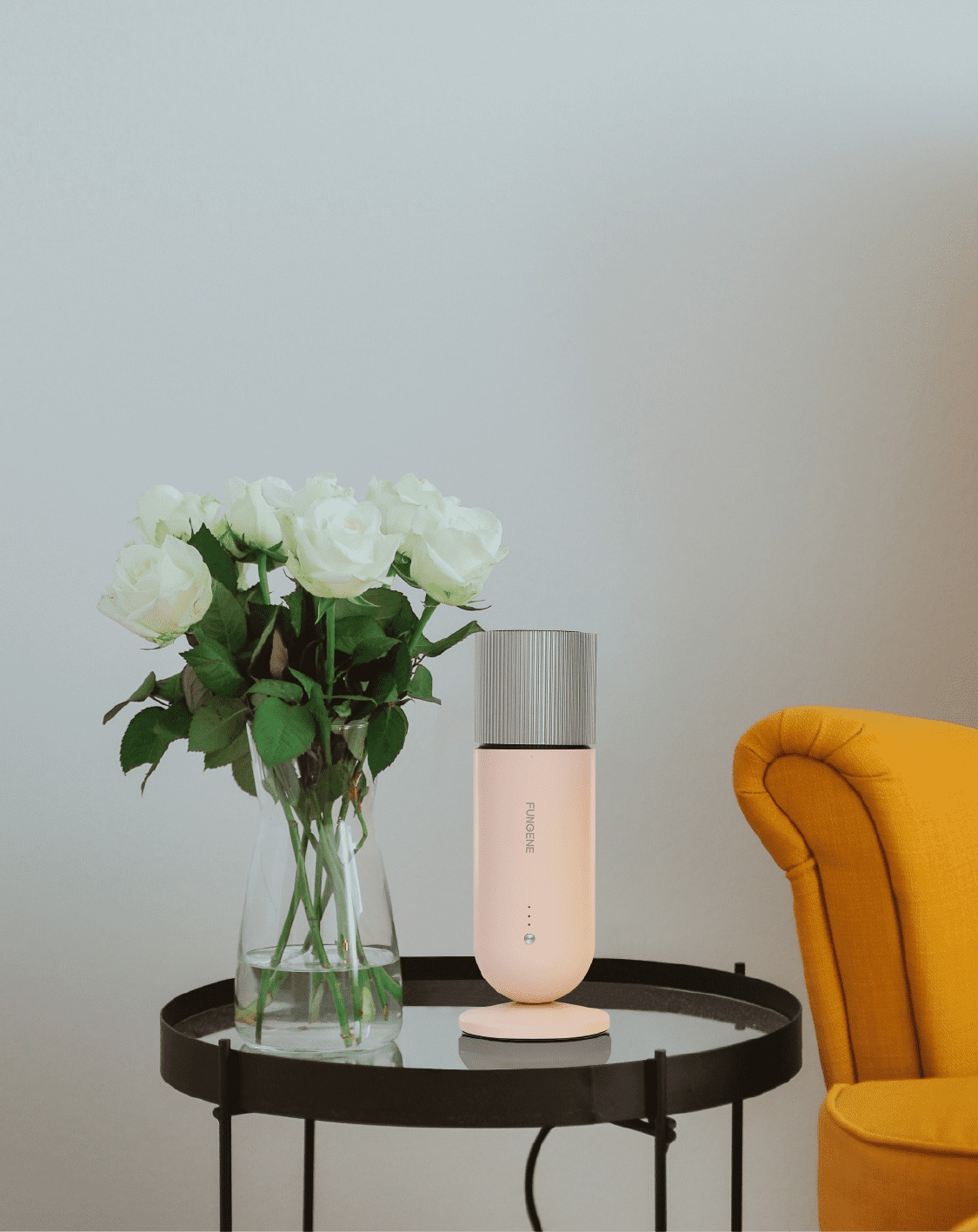 广东梵吉尼科技有限公司